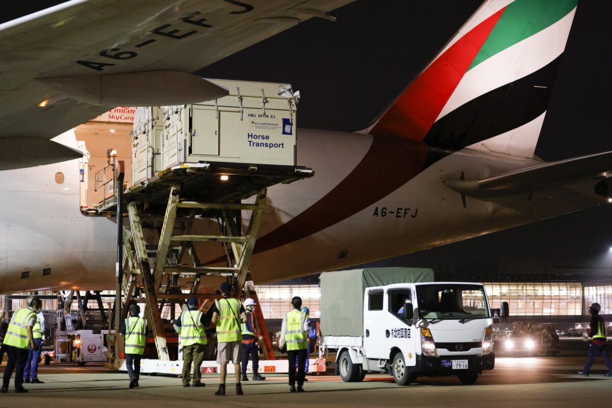Emirates SkyCargo to transport 247 horses from Liege to Tokyo – Daily ...