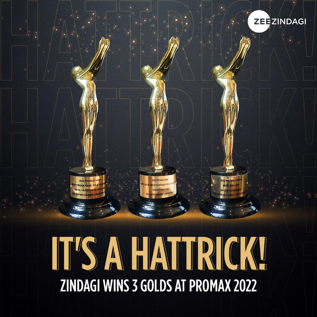 Pakistani Artists win Gold Awards in India – Daily The Azb
