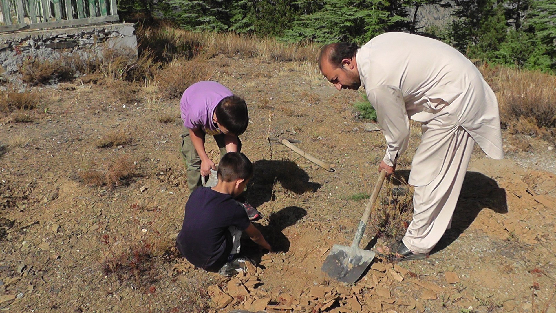 3000 Deodar sapling planted at Chiral Goal National park during moon ...